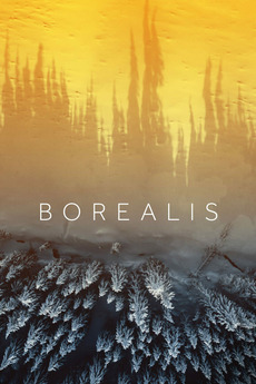 ‎Borealis (2020) directed by Kevin McMahon • Reviews, film + cast ...