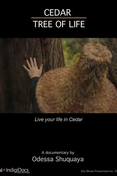 ‎Cedar Tree of Life (2018) directed by Odessa Shuquaya • Reviews, film ...