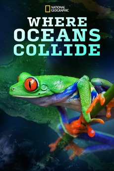 ‎Where Oceans Collide (2018) • Reviews, film + cast • Letterboxd