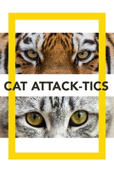 ‎Cat Attack-Tics (2020) • Film + cast • Letterboxd