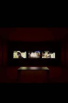 ‎Triptych (2021) directed by John Akomfrah • Reviews, film + cast ...