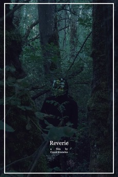 ‎Reverie (2021) directed by Conor Knowles • Film + cast • Letterboxd