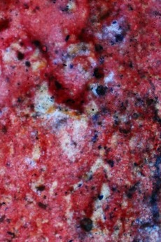 ‎Revenant (2021) directed by Madison Brookshire, Tashi Wada • Film ...
