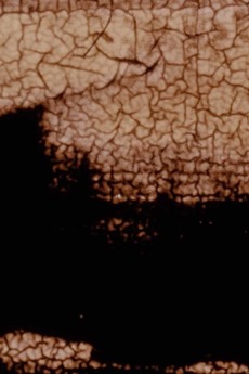 ‎Ark (2021) directed by Todd Fraser • Reviews, film + cast • Letterboxd