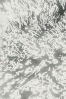 ‎Quanta (2010) directed by Dan Browne • Film + cast • Letterboxd