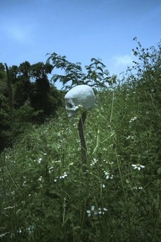 ‎Llyong Topa (2020) directed by Kao Jun-honn • Reviews, film + cast ...