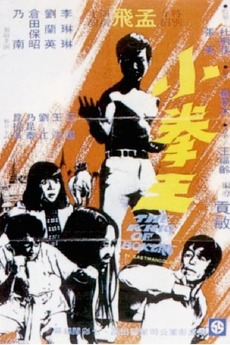 ‎The King of Boxers (1972) directed by Kung Min • Reviews, film + cast ...