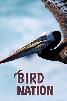 ‎Bird Nation (2018) • Film + cast • Letterboxd