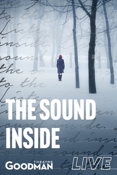 ‎The Sound Inside (2021) directed by Robert Falls, Christiana Tye ...