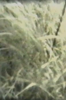 ‎Grass (1967) directed by Miloš Šejn • Film + cast • Letterboxd