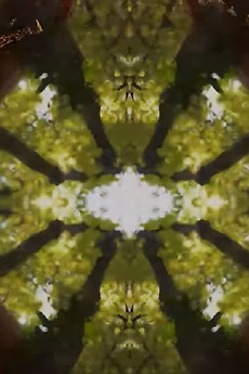 ‎Kries: Sve vam zdravo (2022) directed by Katrin Novaković • Film ...