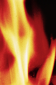 ‎Fire Flames (1975) directed by Neelon Crawford • Reviews, film + cast ...