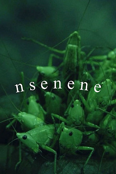 ‎Nsenene (2021) directed by Michelle Coomber • Reviews, film + cast ...