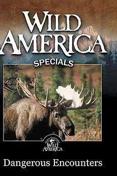 ‎Wild America - Dangerous Encounters (2000) directed by Marty Stouffer ...