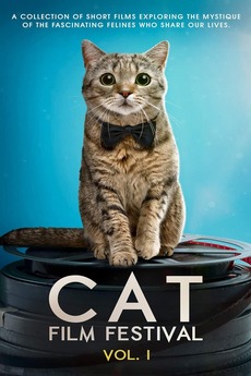 ‎Cat Film Festival Vol. 1 (2020) • Reviews, film + cast • Letterboxd