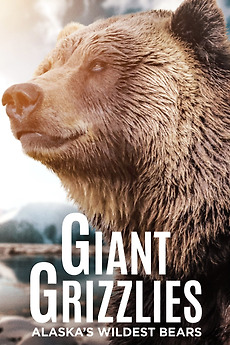 ‎Giant Grizzlies (2008) directed by Andreas Kieling • Reviews, film ...