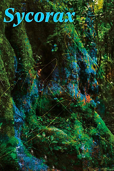 ‎Sycorax (2021) directed by Matías Piñeiro, Lois Patiño • Reviews, film + cast • Letterboxd