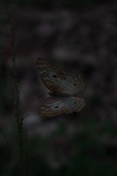 ‎Háblame (2021) directed by Violeta Mora Acosta • Reviews, film + cast ...