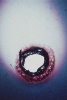 ‎24 Frames per Second (1977) directed by Al Wong • Reviews, film + cast • Letterboxd