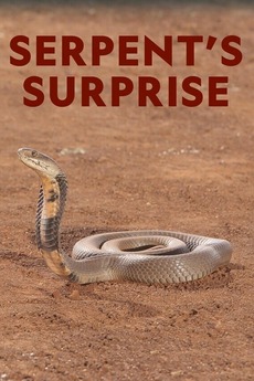 ‎Serpents Surprise (2021) • Film + cast • Letterboxd