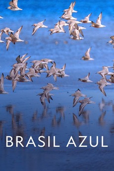 ‎Blue Brazil (2020) directed by Cristian Dimitrius • Reviews, film ...