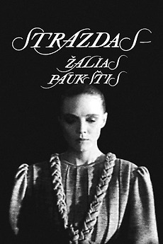 ‎Strazdas - žalias paukštis (1990) directed by Jonas Vaitkus • Reviews ...