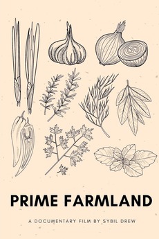‎Prime Farmland (2020) directed by Sybil Drew • Film + cast • Letterboxd