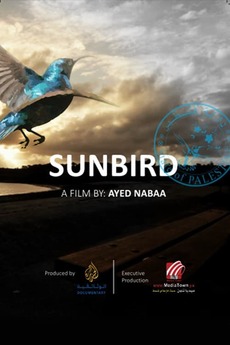 ‎The Sunbird (2016) directed by Ayed Nabaa • Film + cast • Letterboxd