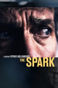 ‎The Spark (2018) directed by Stephen Shellen • Reviews, film + cast ...