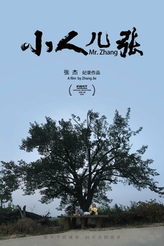 ‎Mr. Zhang (2021) directed by Zhang Jie • Film + cast • Letterboxd