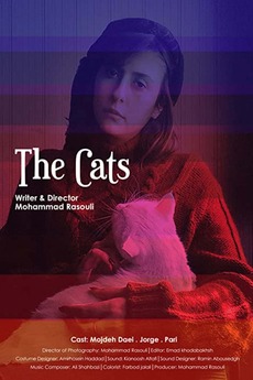 ‎The Cats (2020) directed by Mohammad Rasouli • Film + cast • Letterboxd
