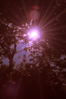 ‎Fullmoon (2017) directed by Miles Sprietsma • Film + cast • Letterboxd