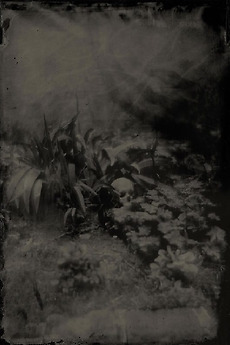 ‎Boogie & Demons (2023) directed by Ivan Šijak • Film + cast • Letterboxd