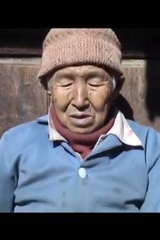 ‎Back to Huamulin (2011) directed by Li Xinmin • Reviews, film + cast ...