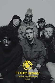 ‎The Beauty Between Live From Kamp Kaleidoscope (2021) directed by Andy ...