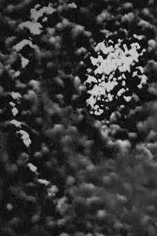 ‎Snares (2017) directed by Rainer Kohlberger • Reviews, film + cast ...