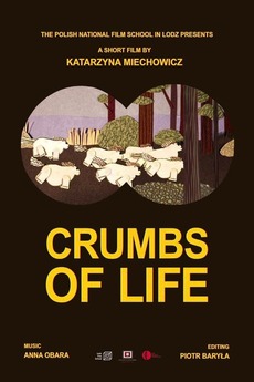 ‎Crumbs of Life (2021) directed by Katarzyna Miechowicz • Reviews, film ...
