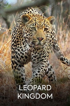 ‎Leopard Kingdom (2019) • Film + cast • Letterboxd
