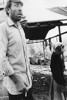 ‎Opre Roma (1983) directed by Filip Robar Dorin • Film + cast • Letterboxd