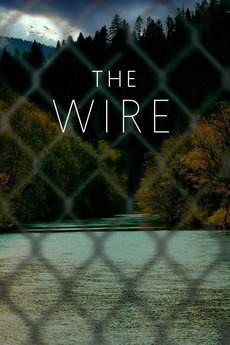 ‎The Wire (2021) directed by Tiha K. Gudac • Reviews, film + cast ...