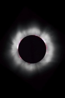 ‎CORONAL LOOPS (2020) directed by Alicia Mersy • Film + cast • Letterboxd