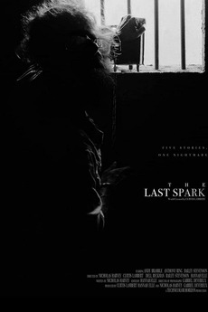 ‎The Last Spark (2021) directed by Bailey Stevenson, Dell Beckman et al ...