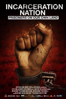 ‎Incarceration Nation (2021) directed by Dean Gibson • Reviews, film ...