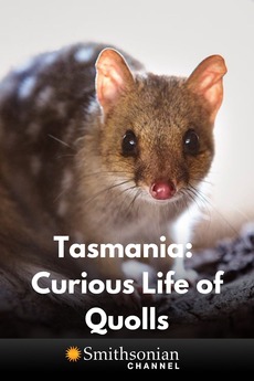 ‎Tasmania: Curious Life of Quolls (2020) • Film + cast • Letterboxd