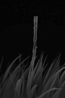 ‎The Wind is Howling (2020) directed by Ivan Khanzhin • Film + cast ...