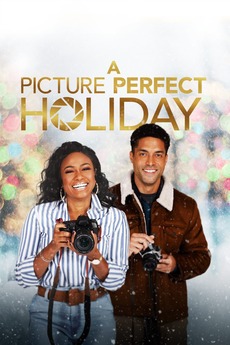 ‎A Picture Perfect Holiday (2021) directed by J.E. Logan • Reviews ...
