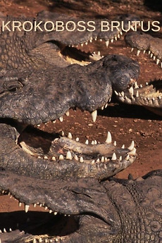 ‎Boss Croc (2017) • Film + cast • Letterboxd