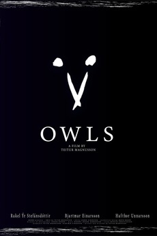 ‎Owls (2021) directed by Teitur Magnússon • Reviews, film + cast ...