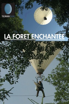 ‎The Enchanted Forest directed by Bernard Guerrini • Film + cast ...