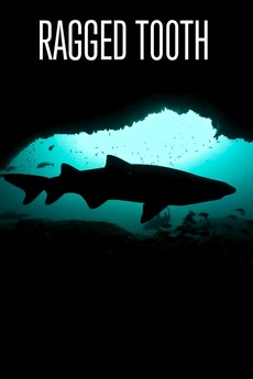 ‎Ragged Tooth (2011) directed by Graeme Duane, Benjamin G. Hewett ...